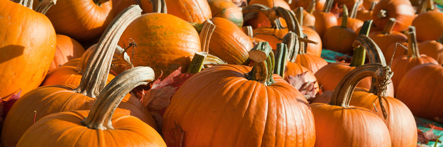 Family Snow Sports - Mount Pleasant of Edinboro